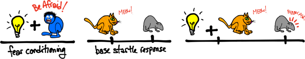 Acoustic Startle Response | Maze Engineers