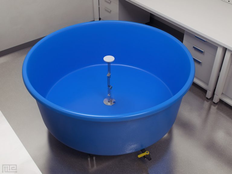 Top 10 Behavioral Mazes of 2019 - Maze Engineers