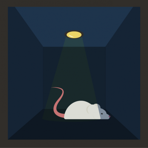 Custom - Maze Engineers