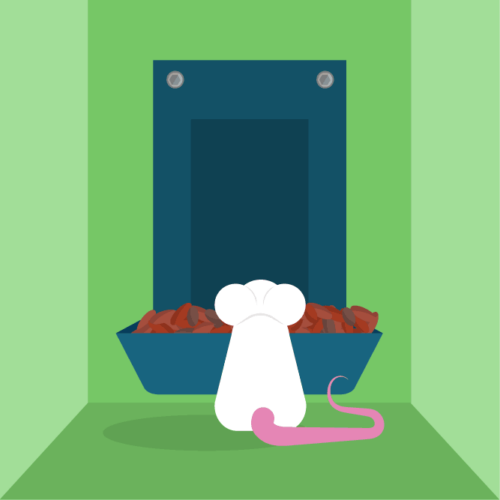 Custom - Maze Engineers