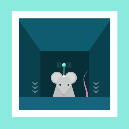 Automated 8 Arm Radial Maze - Maze Engineers