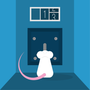 Automated T Maze - Maze Engineers