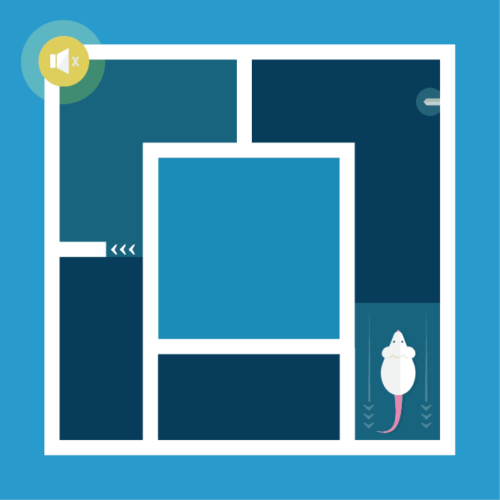 Automated 8 Arm Radial Maze - Maze Engineers