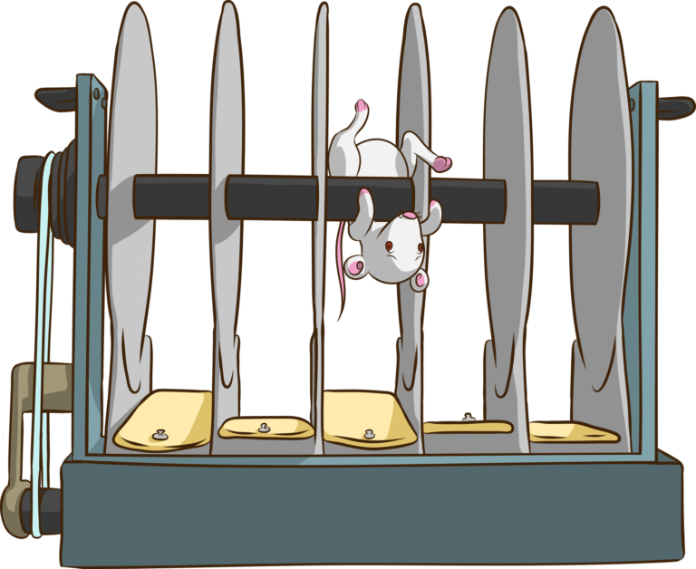 The Rotarod Test (For Mice) | Maze Engineers