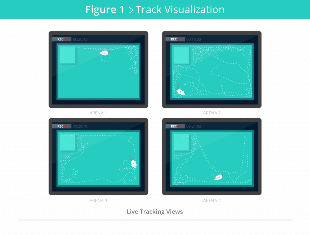 Noldus EthoVision XT - Maze Engineers