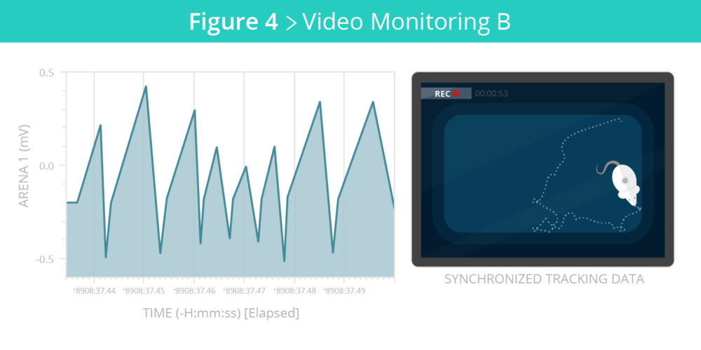 Noldus EthoVision XT - Maze Engineers