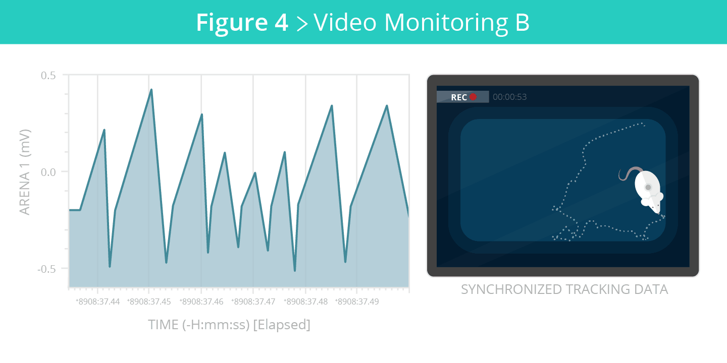 Noldus EthoVision XT - Maze Engineers