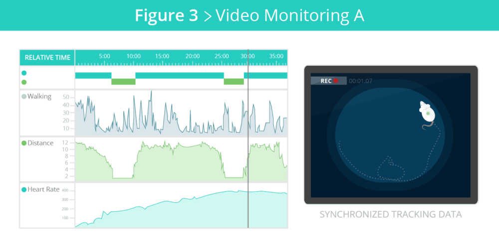 Noldus EthoVision XT - Maze Engineers