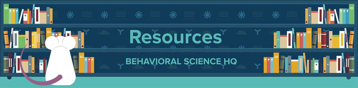 Amazing - Maze Engineers