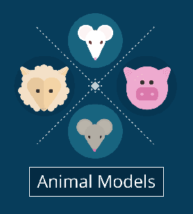 Animal Models - Maze Engineers