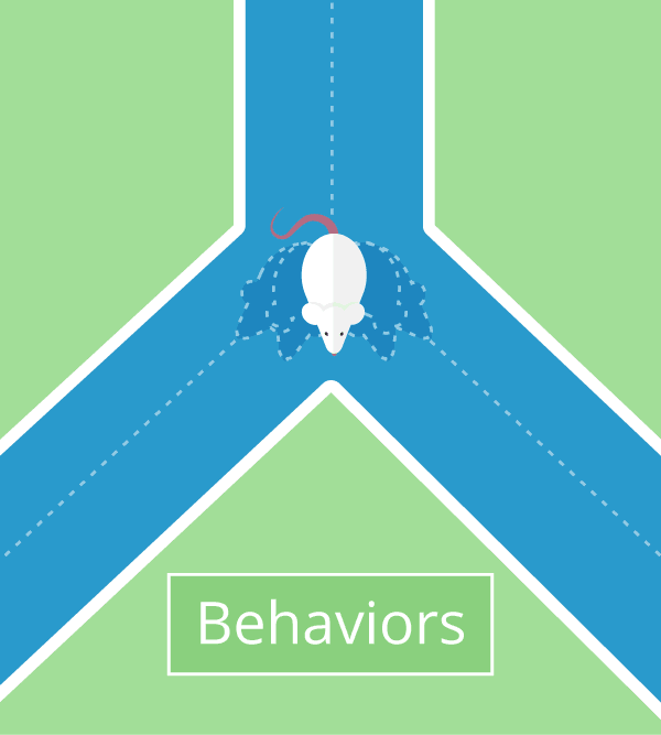 Behavior Testing - Maze Engineers