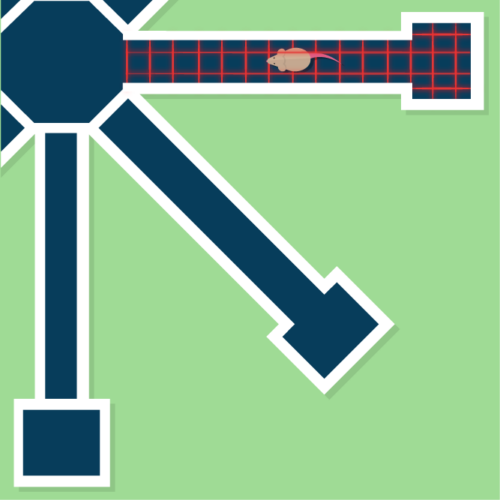 Automated 8 Arm Radial Maze - Maze Engineers