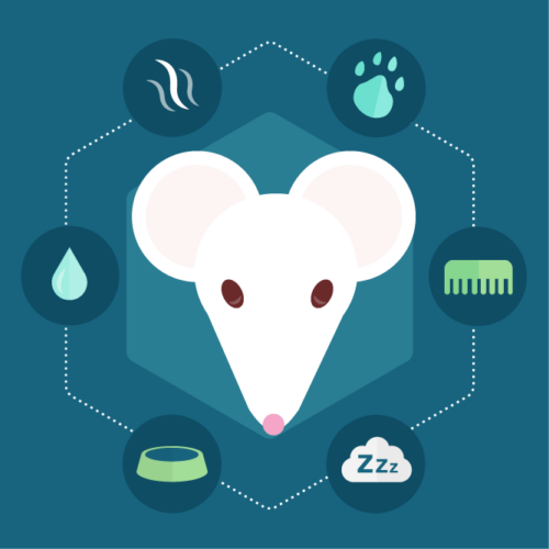 Noldus EthoVision XT - Maze Engineers