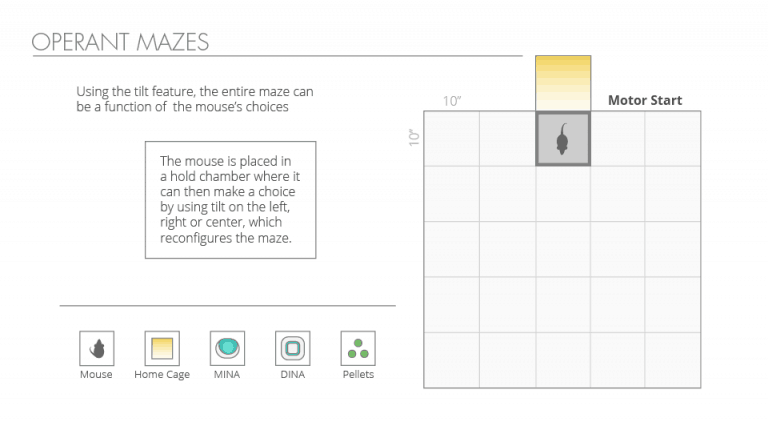 Labyrinth - Maze Engineers