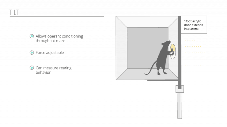 Labyrinth - Maze Engineers
