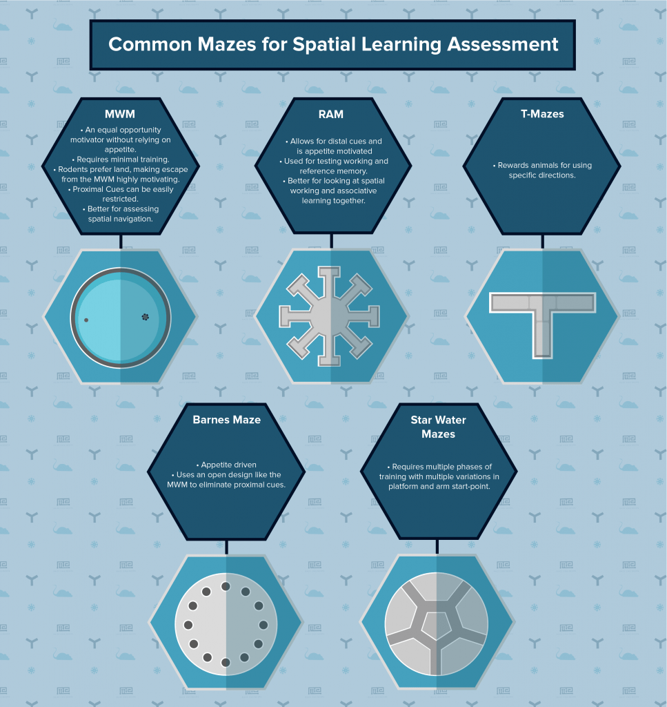 A Beginner's Guide to Spatial Learning | Maze Engineers