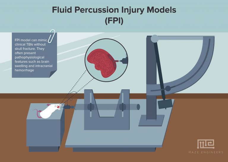 Animal Models of Traumatic Brain Injury | Maze Engineers