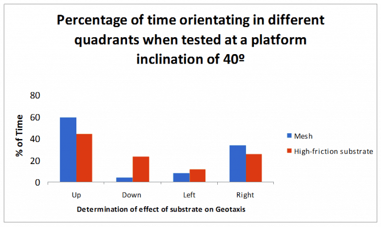 Geotaxis Test - Maze Engineers