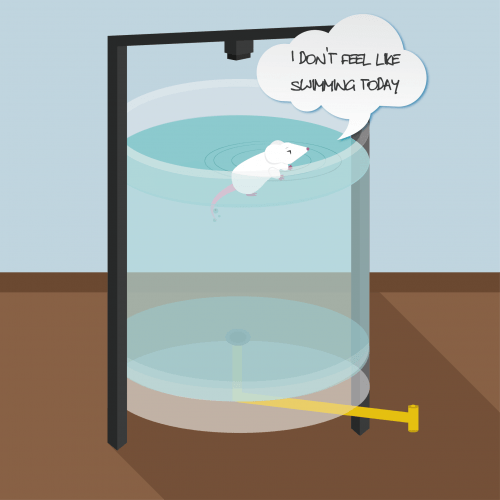 Modeling Postpartum Mood Disorder | Maze Engineers