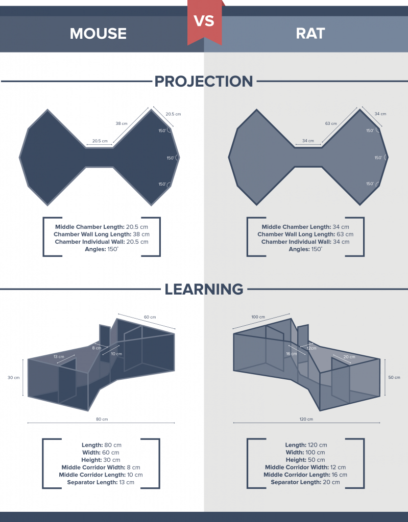 Bowtie Mazes - Maze Engineers