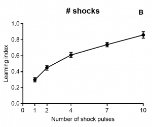 Drosophila Olfactory Operant Conditioning - Maze Engineers