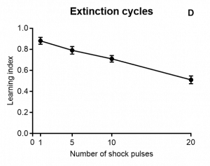 Drosophila Olfactory Operant Conditioning - Maze Engineers
