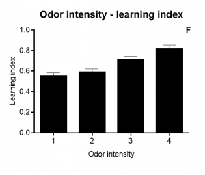 Drosophila Olfactory Operant Conditioning - Maze Engineers