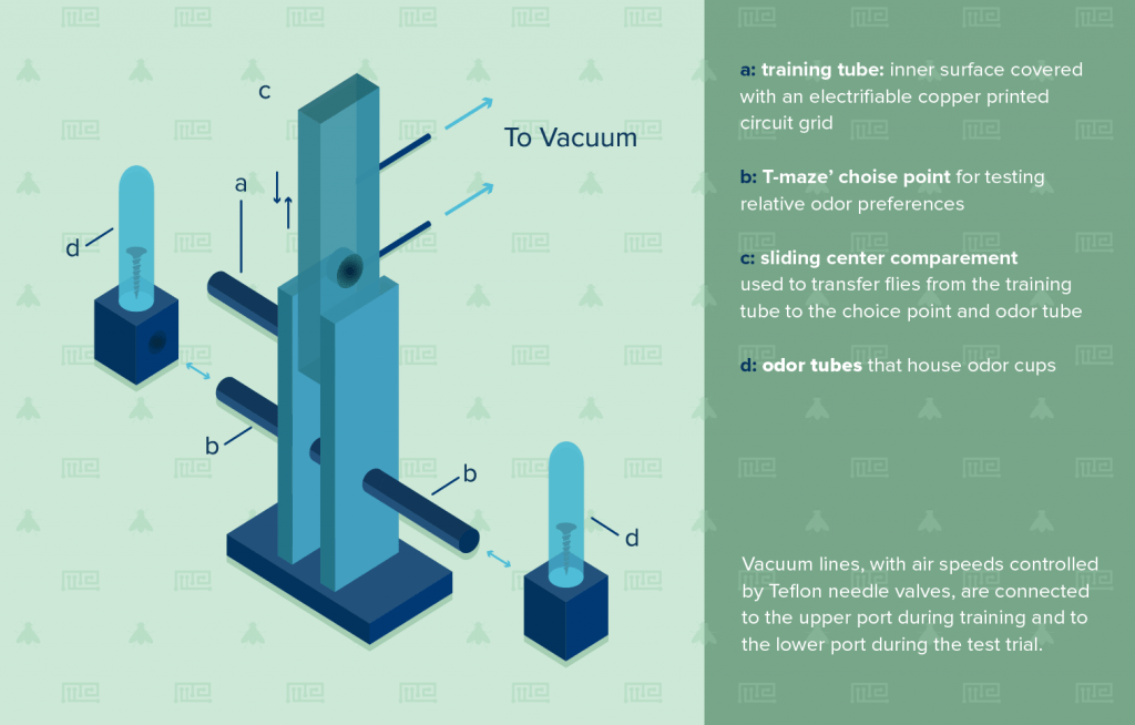 Drosophila Olfactory Operant Conditioning - Maze Engineers