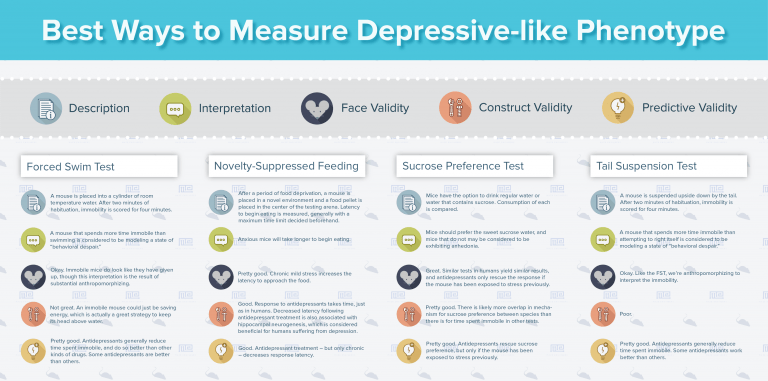 The Basics of Depression Testing in Rodents - Maze Engineers