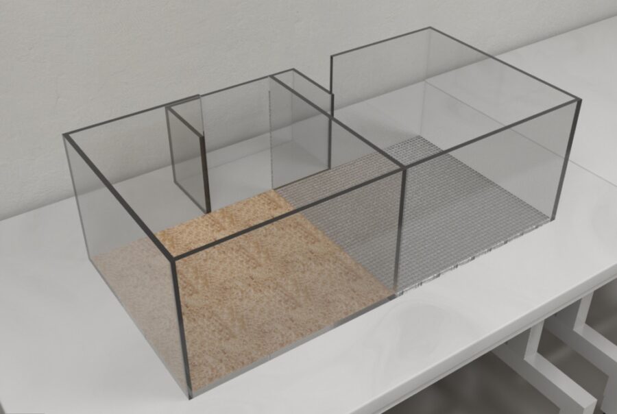 Conditioned Place Preference - Maze Engineers