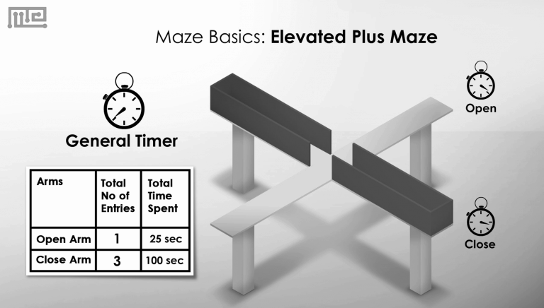 Elevated Plus Maze: Understanding the Basics - Maze Engineers
