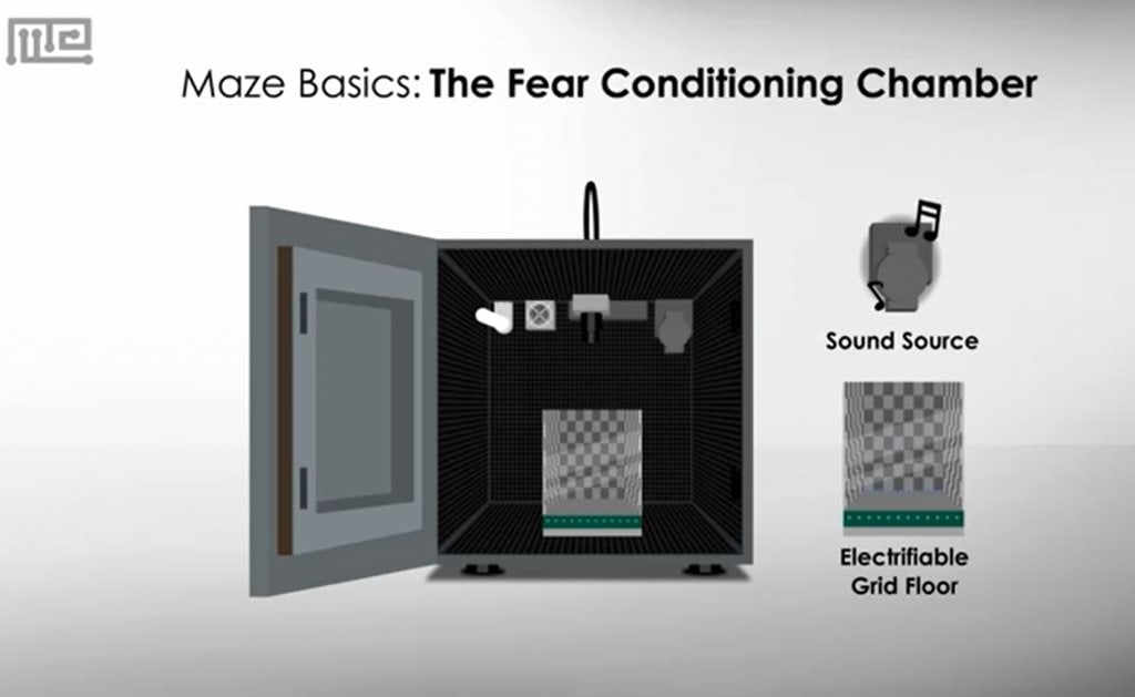 Fear Conditioning - Maze Engineers