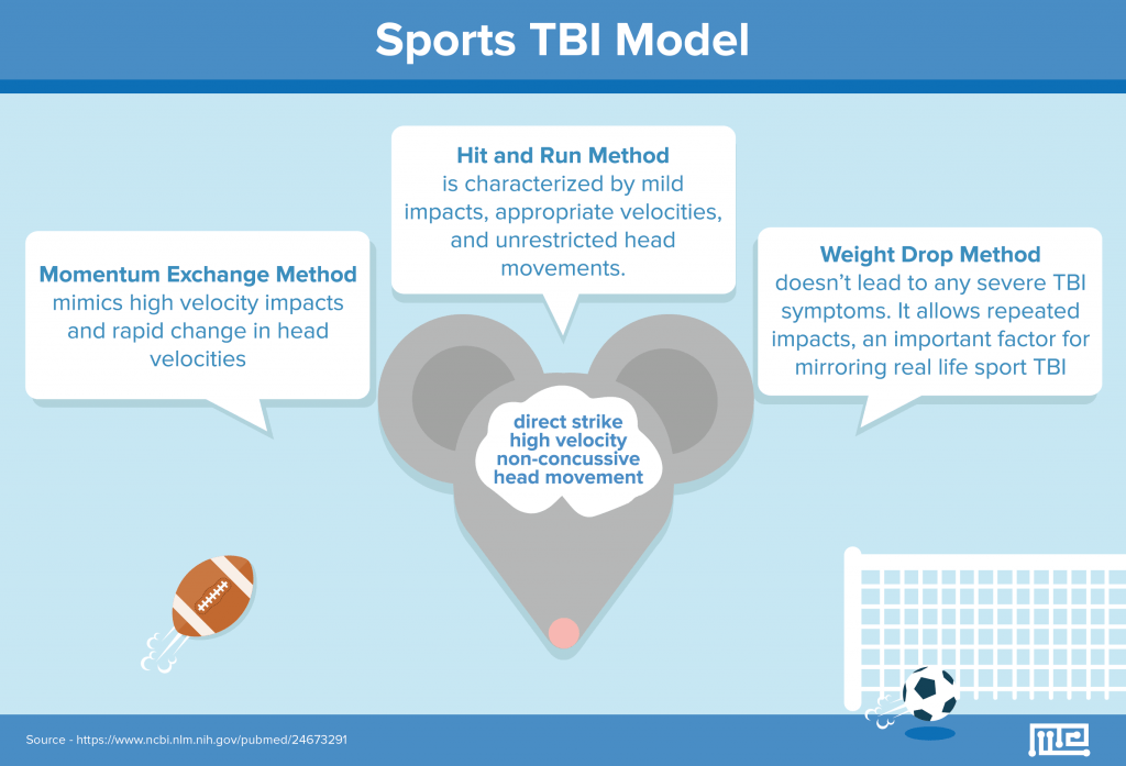 Traumatic Brain Injury in Sports: Modeling safer methods | Maze Engineers