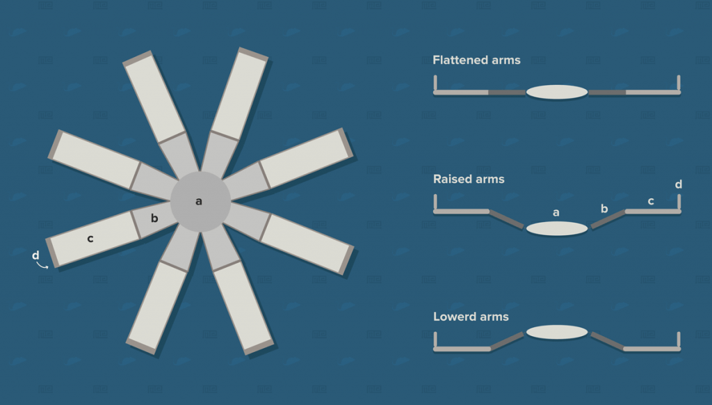 3D Radial Arm Maze - Maze Engineers
