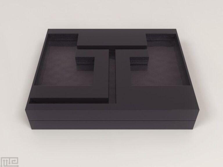 Zebrafish Larvae T Maze - Maze Engineers