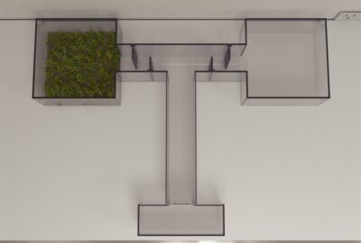 Zebrafish - Maze Engineers