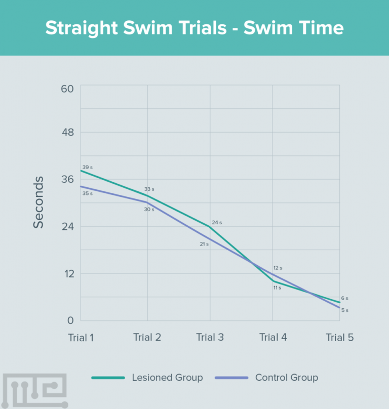 Morris Water Straight Swim Channel - Maze Engineers
