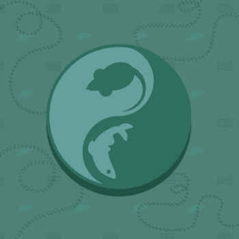 Animal Models Archives - Maze Engineers