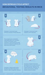 Can Estrous Cycle Affect Behavioral Test Results in Mice | Maze Engineers