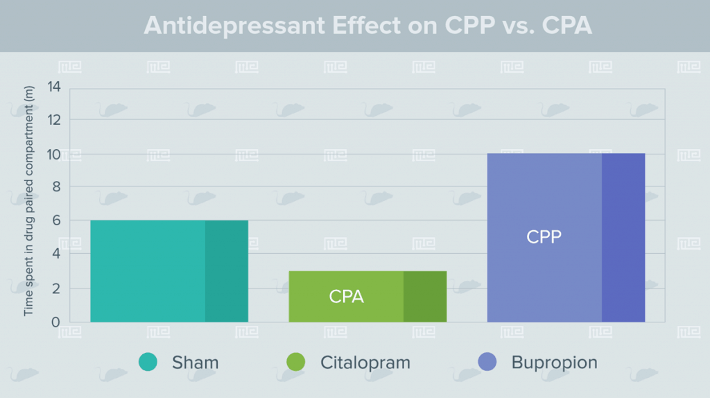 Maze Basics: Conditioned Place Preference - Maze Engineers