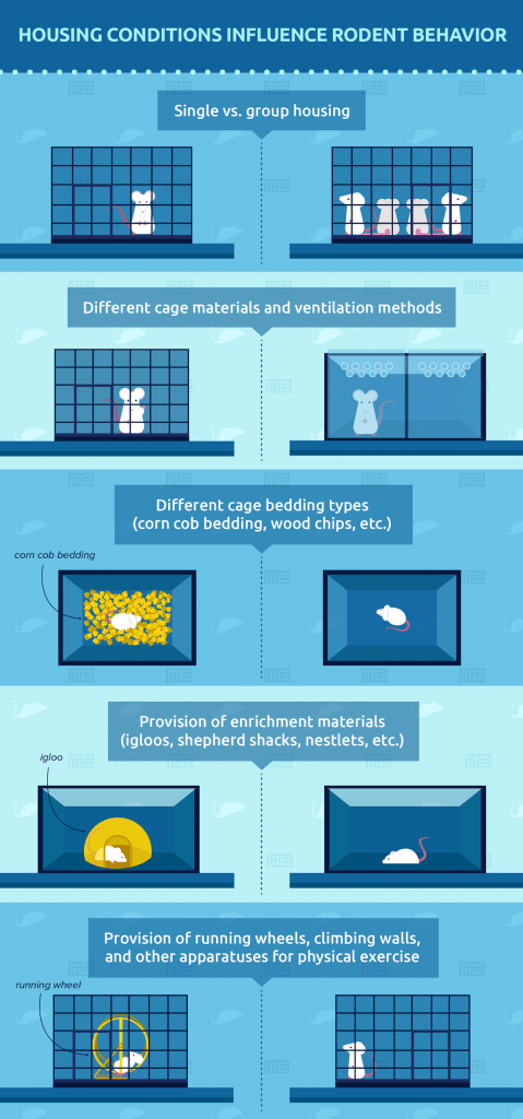 How Housing Conditions Influence Rodent Behavior | Maze Engineers