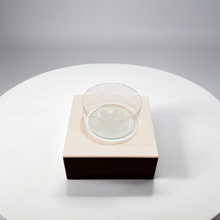 Drosophila Shallow Chamber - Maze Engineers