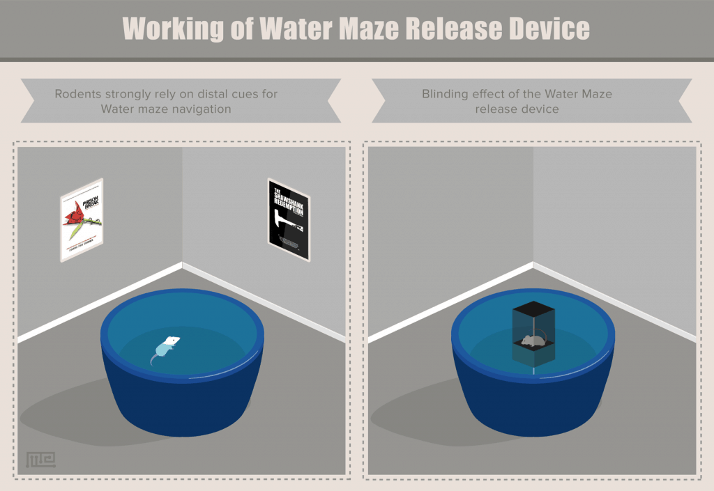 Morris Water Maze Release Device - Maze Engineers
