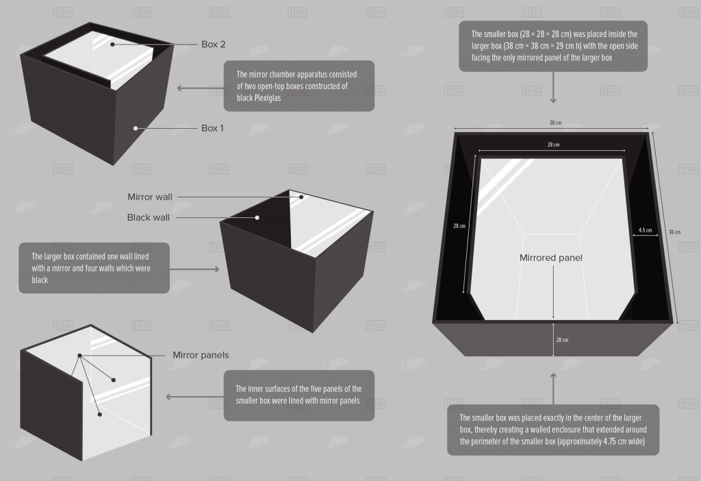 Mirror Chamber Version 2 - Maze Engineers