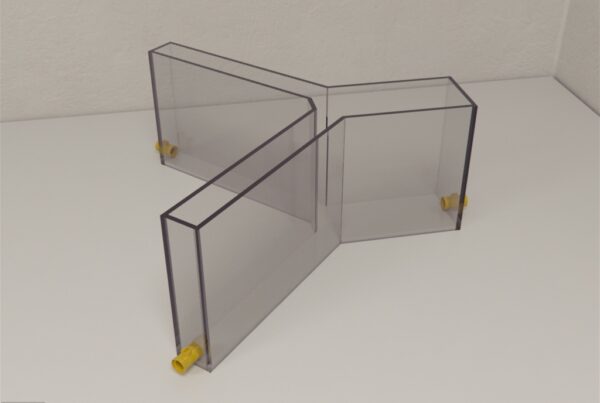 Zebrafish - Maze Engineers.
