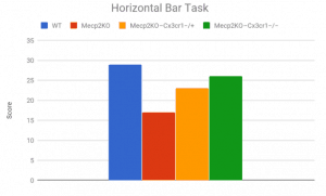 Triple Horizontal Bars - Maze Engineers