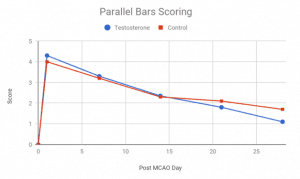 Parallel Bars - Maze Engineers