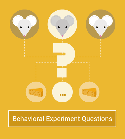 Neuroscience Behavior Questions - Maze Engineers