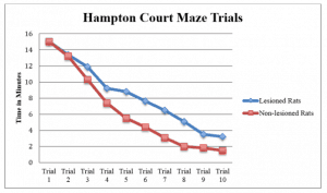 Hampton Court Maze - Maze Engineers