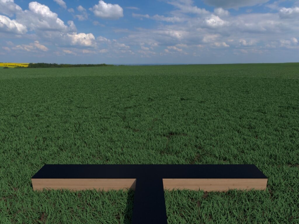 Virtual T Maze - Maze Engineers